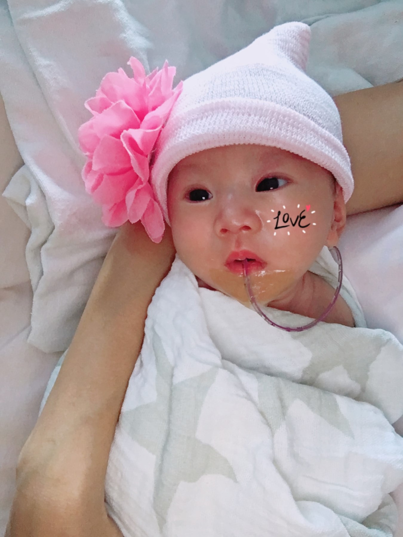 Allison Hsieh Obituary - Santa Ana, CA