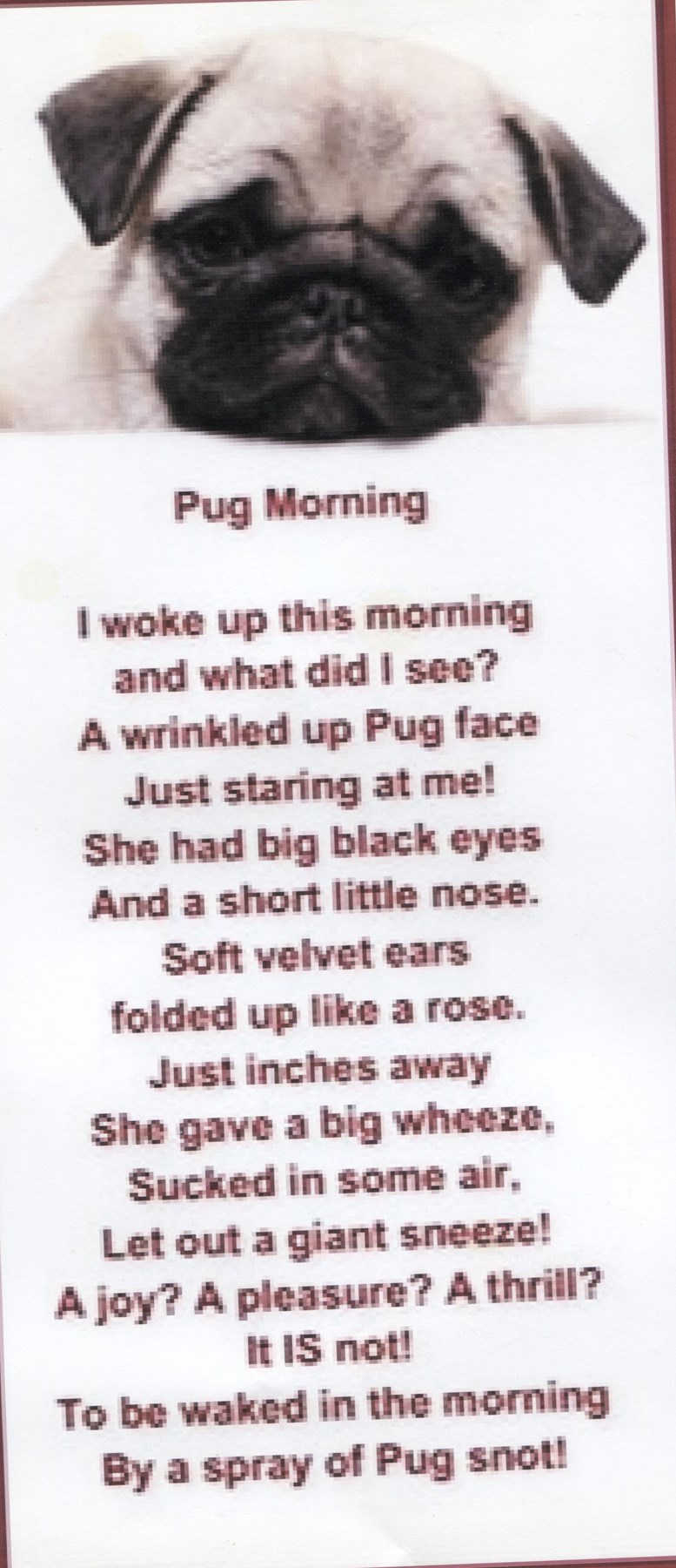 What Did Loca The Pug Die From