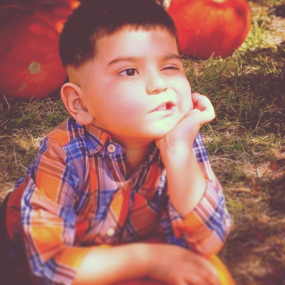 Tim Elam's Instagram, Twitter & Facebook on IDCrawl