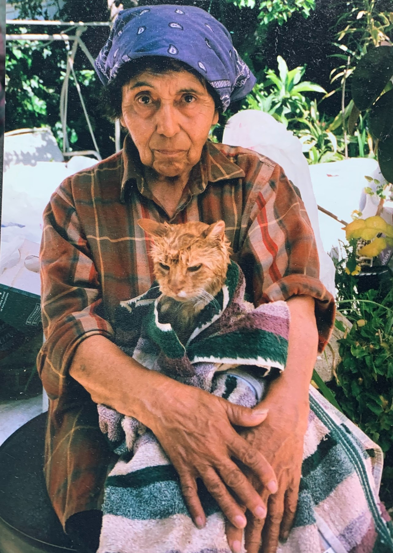 Dorothy Ramirez Obituary - Culver City, CA