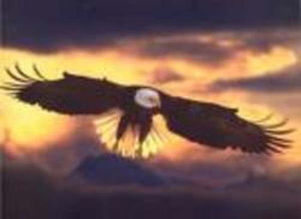 Gary Plantier Obituary - Levittown, PA