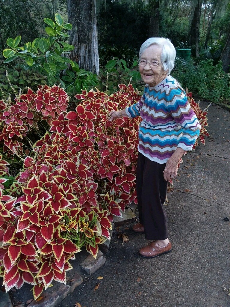 Patricia Archer Obituary - Beaumont, TX