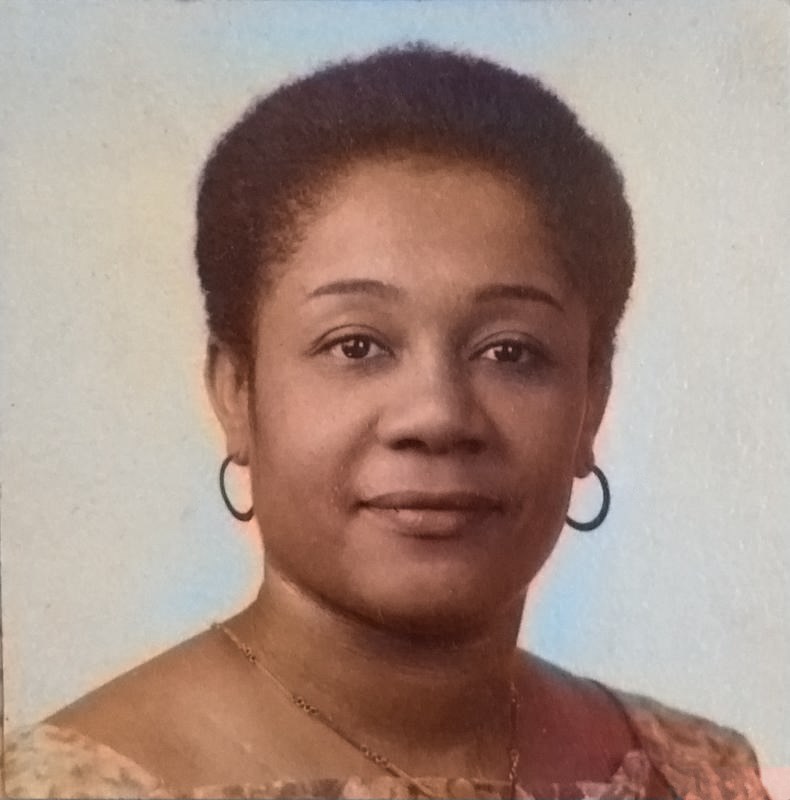 Denise Jean Louis Obituary - New City, NY