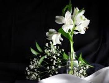 David Dykstra Obituary - Seattle, WA