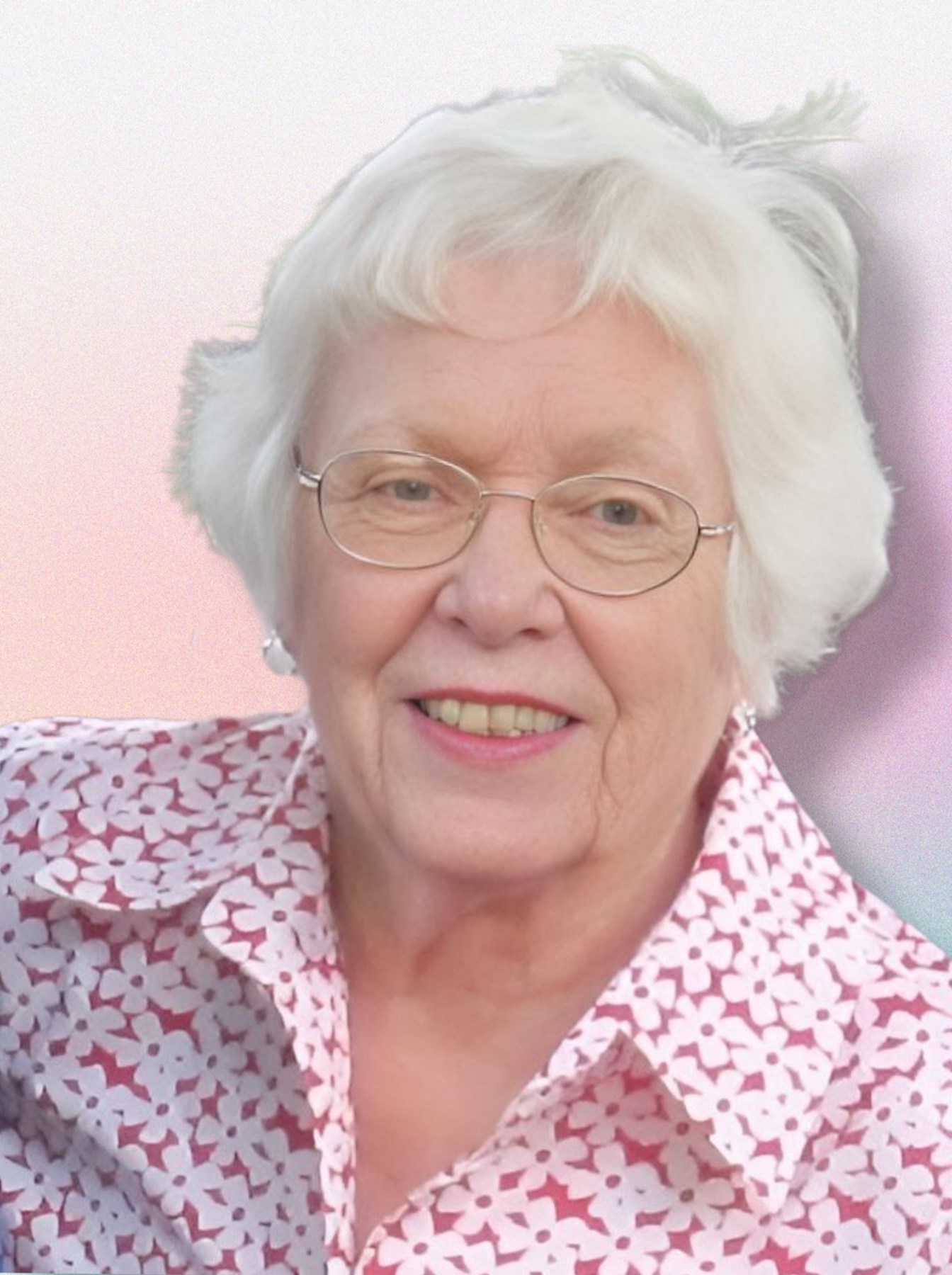 Ann Alderks Obituary - Cary, NC