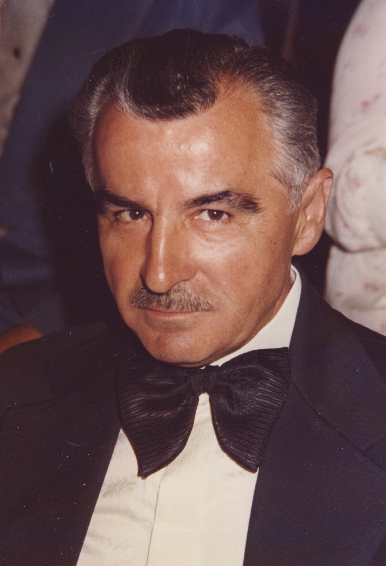 Leon Metyk Obituary - Arlington Heights, IL