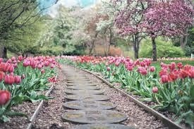 Deann Davis Obituary - Booneville, MS