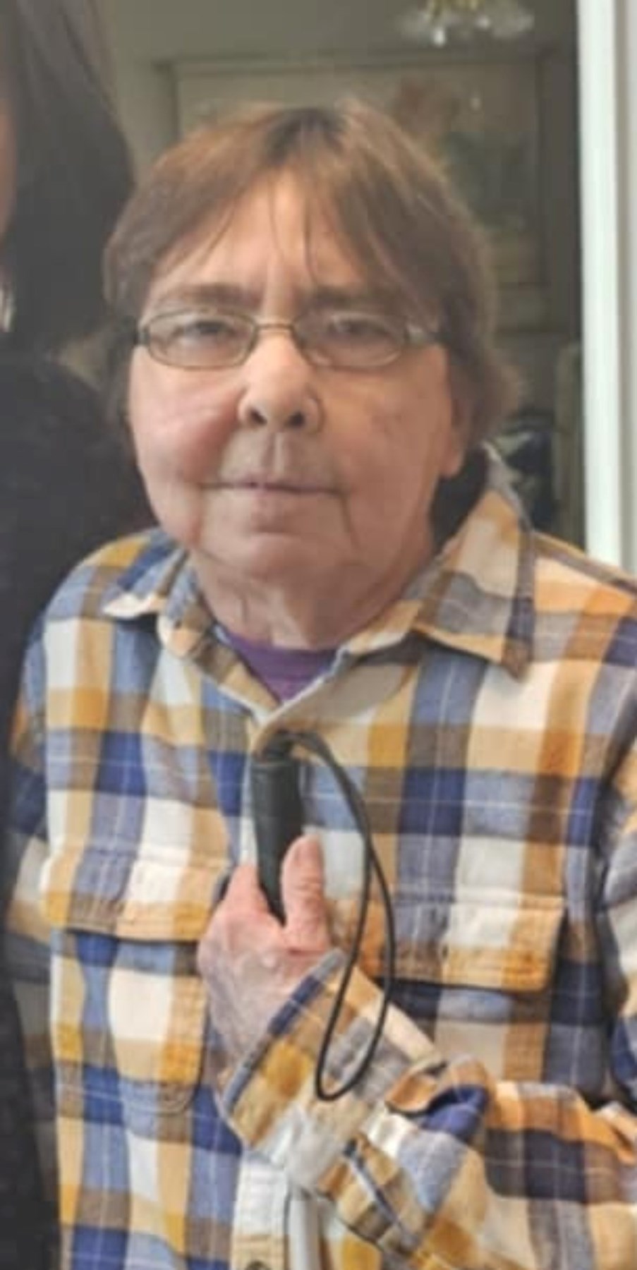 Lisa Gibson Obituary - Madison Heights, VA