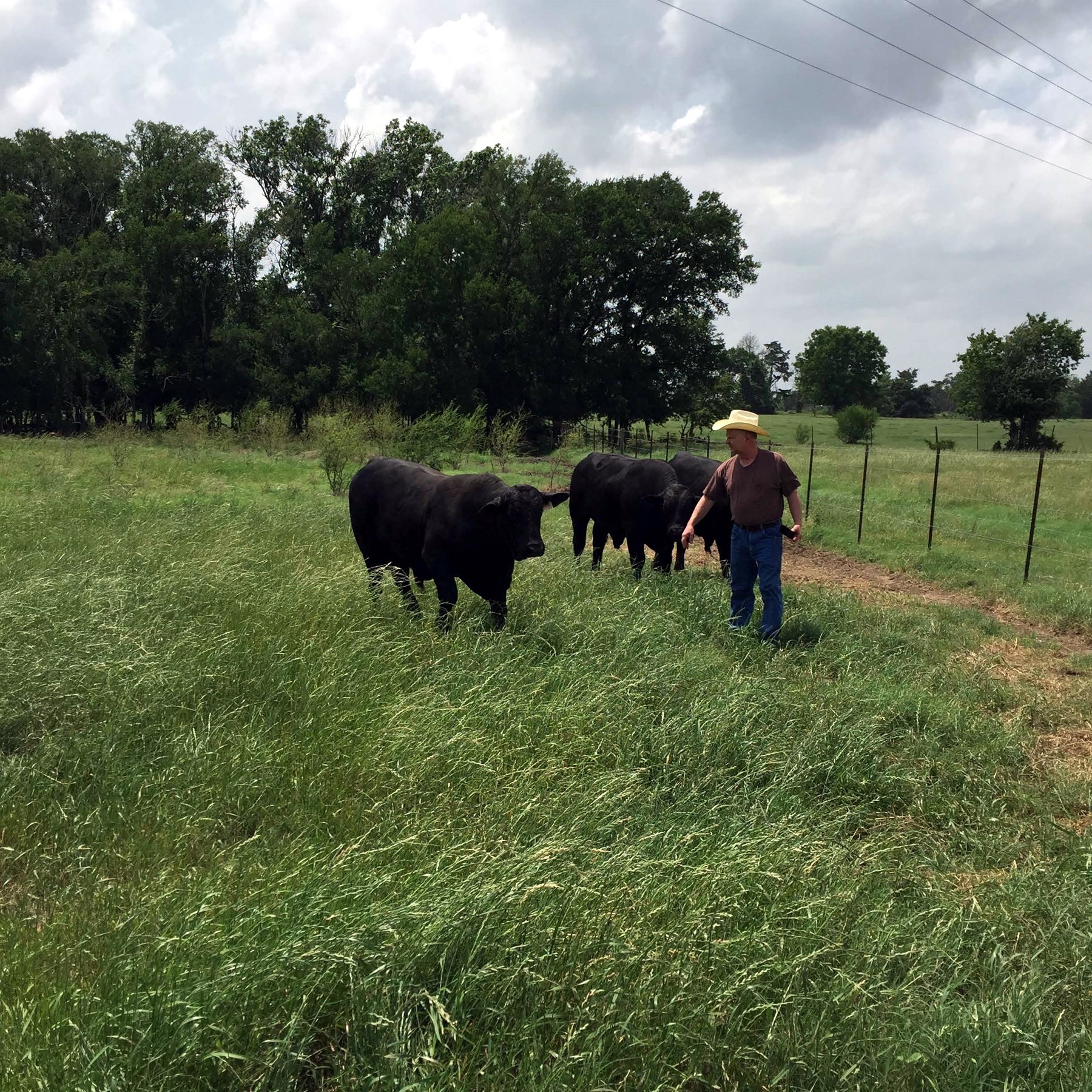 Gary Joseph Bronikowski Obituary - Houston, TX