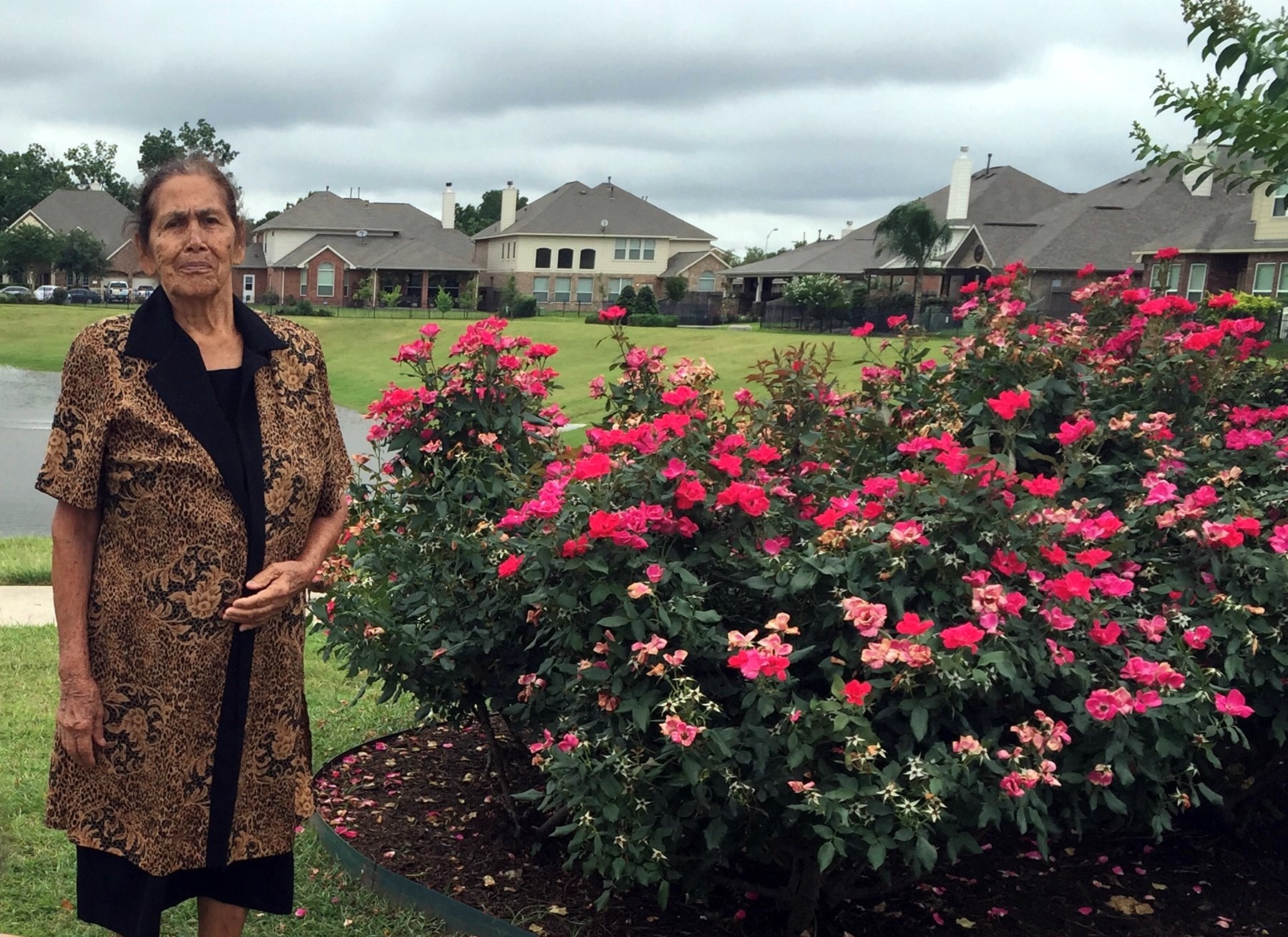 Natividad Martinez-Torres Obituary - Houston, TX