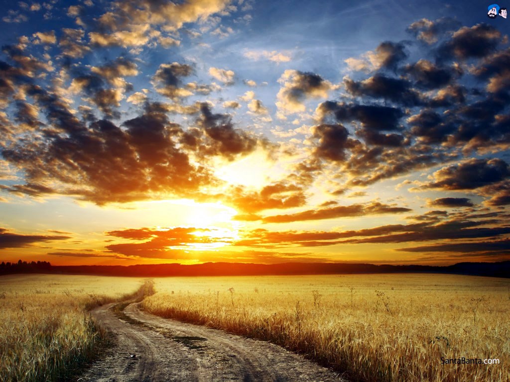 Richard Taylor Obituary - Jacksonville, FL