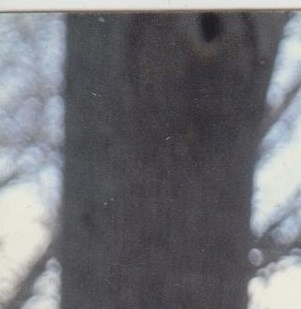Thomas F. Cavanagh Obituary - Keene, NH Thomas F. Cavanagh Obituary - Keene, NH