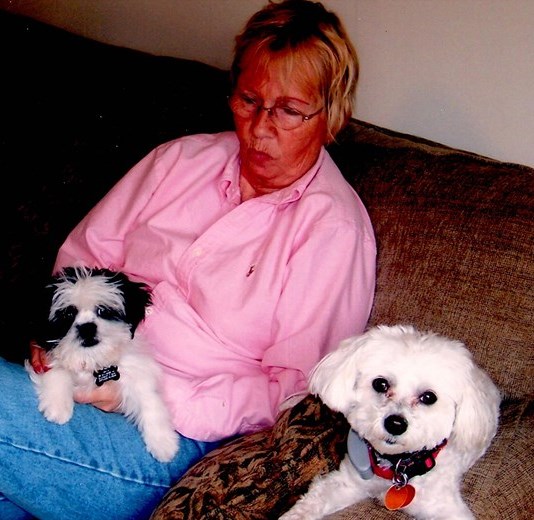 Judith Davidson Obituary - Clinton, CT