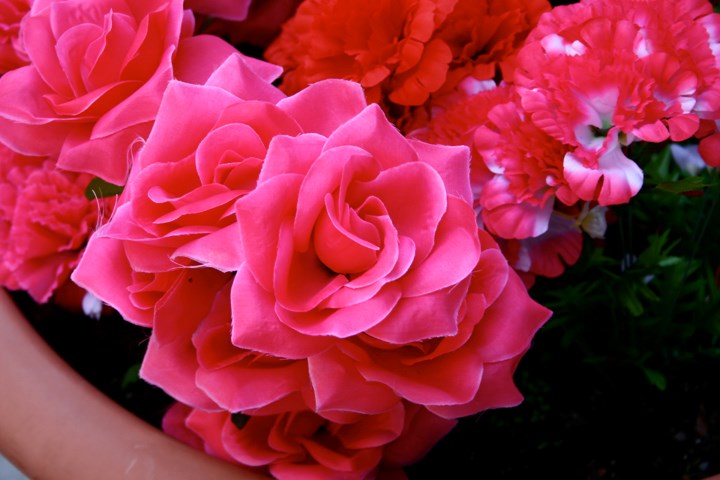 Florence Fitzpatrick Obituary - Staten Island, NY