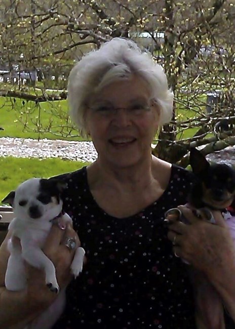 Katherine Sue Engle Obituary Cross Lanes Wv