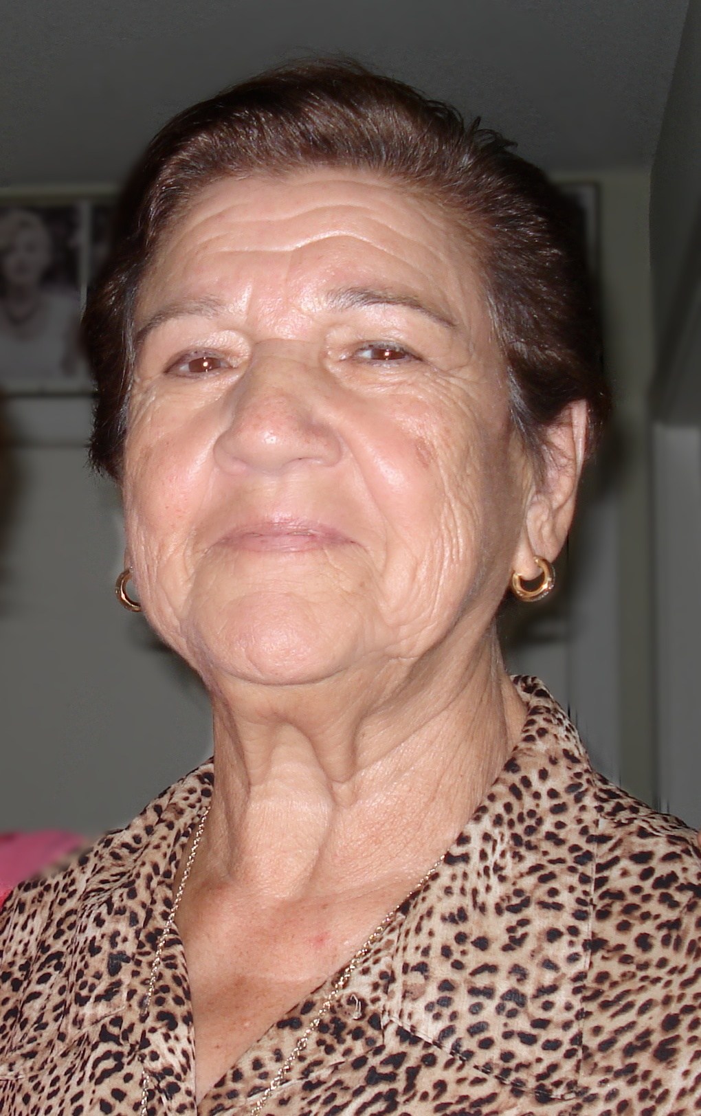 Jesus Armienta Cabada Obituary - Fremont, CA