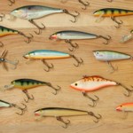 Dewitt, MI Obituaries Online | Find Dewitt Obituaries